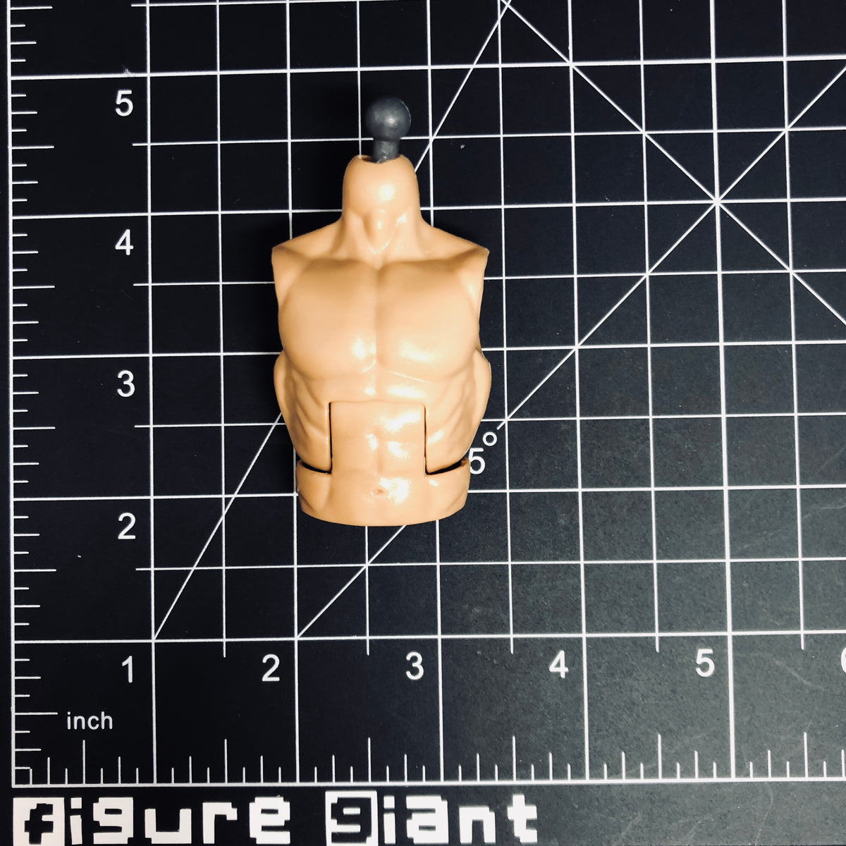 Tall & Lean Torso (C) – FIGURE GIANT