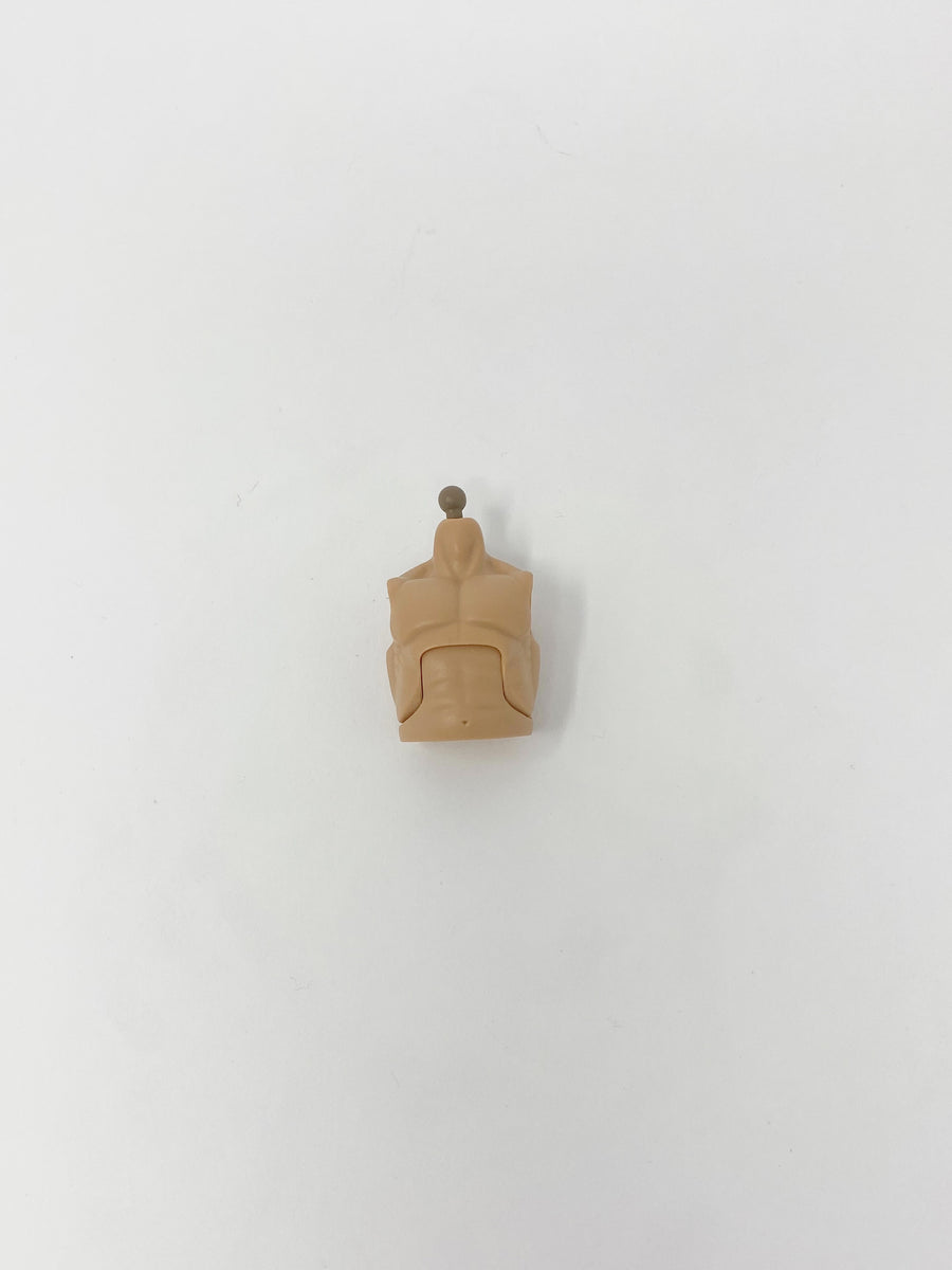 Barrel Chested Torso – FIGURE GIANT